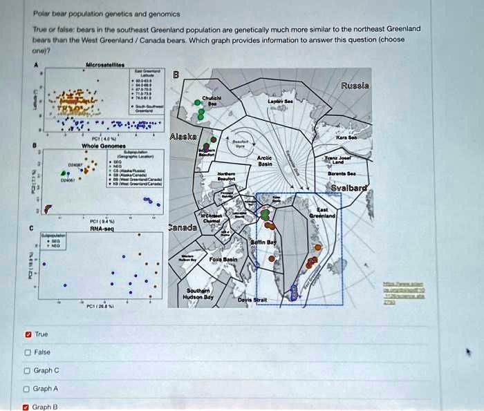 SOLVED: Polar bear population genetics and genomics True or false ...