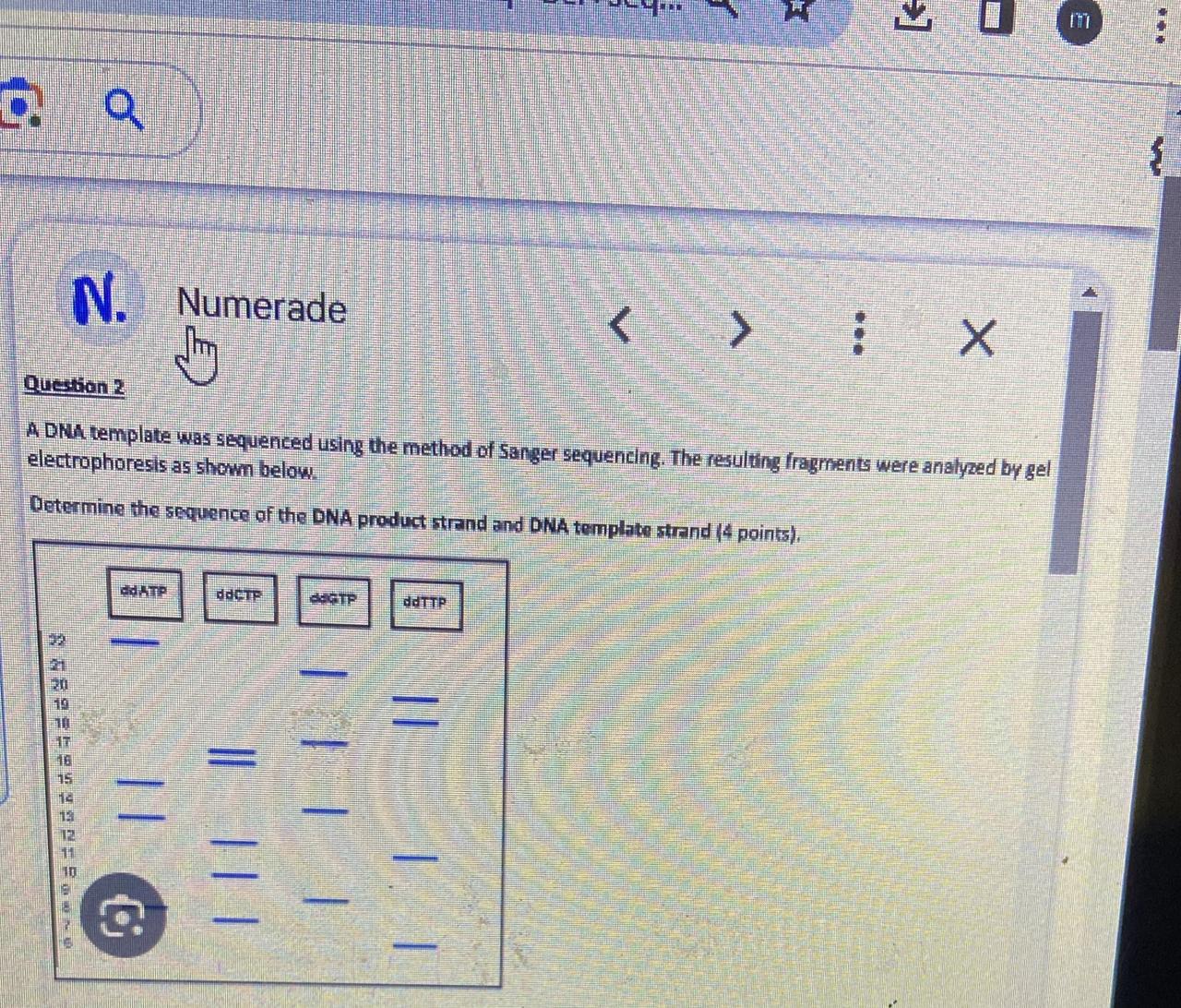 N. Numerade Question 2 A DNA template was sequenced using the method of Sanger sequencing. The ...
