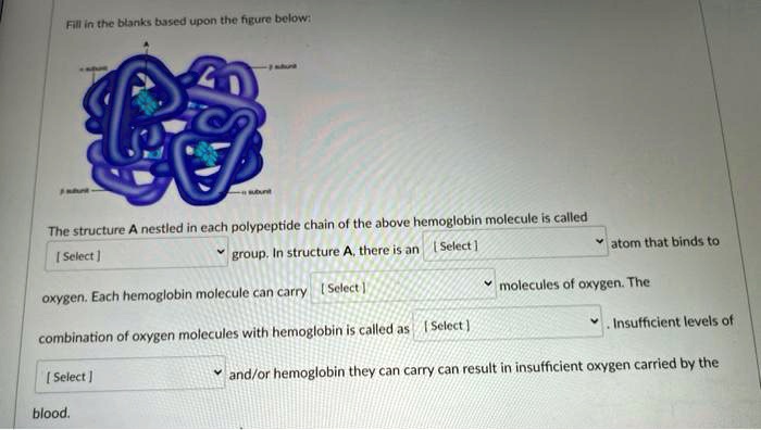 Fill in the blanks based upon the figure below: The structure A nestled ...