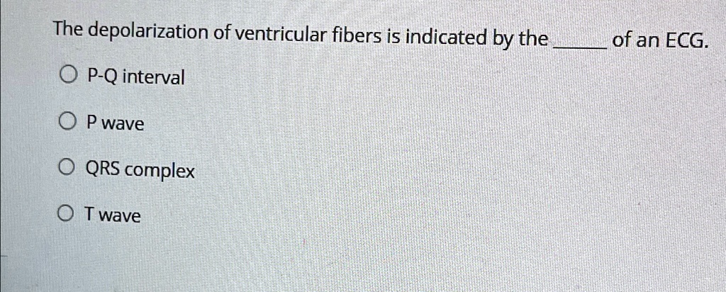 the depolarization of ventricular fibers is indicated by the qrs ...