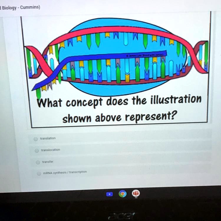 SOLVED: What concept does the illustration shown in the picture ...