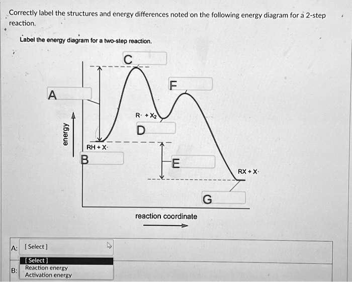 Correctly label the structures and energy differences noted on the ...