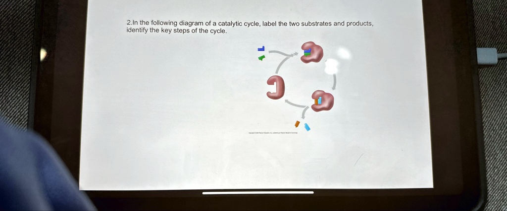SOLVED: 2.In the following diagram of a catalytic cycle, label the two ...