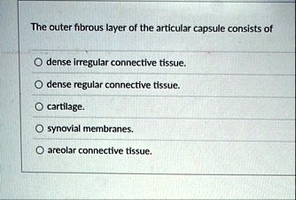 the outer fibrous layer of the articular capsule consists of dense ...