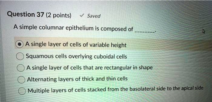 SOLVED: Question 37 (2 points) Saved A simple columnar epithelium is composed of A single layer ...