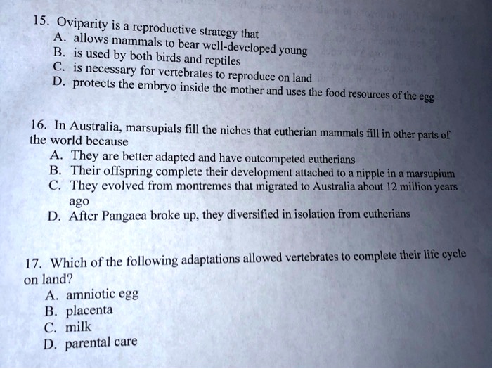 15 oviparity is a reproductive strategy allows mammals that bear is ...