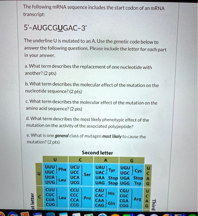 the following mrna sequence includes the start codon ofan mrna ...