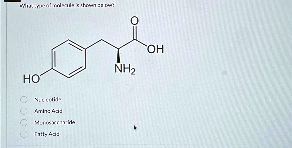 What type of molecule is shown below? HO Nucleotide Amino Acid ...