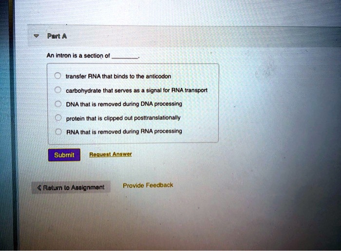 por a an intron is a section ol transter rna that binds t0 ihe ...