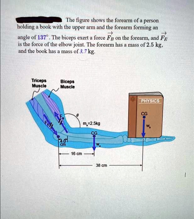 SOLVED: Calculate the Magnitude of the force in the elbow joint in ...