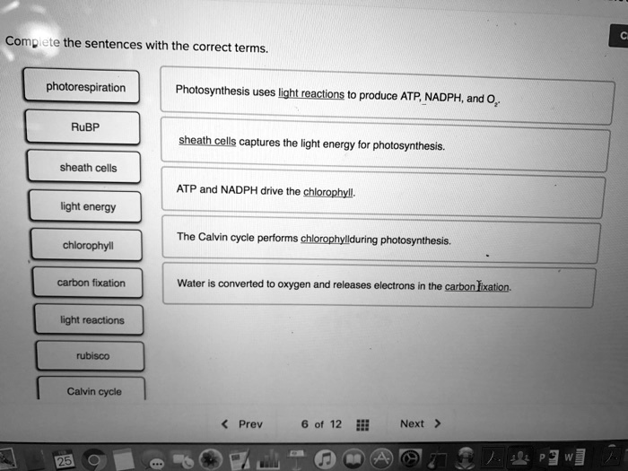 Photosynthesis uses light reactions to produce ATP, NADPH, and oxygen ...