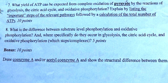 SOLVED: What Meld of ATP can be expected from complete oxidation of pyruvate by the reactions of ...