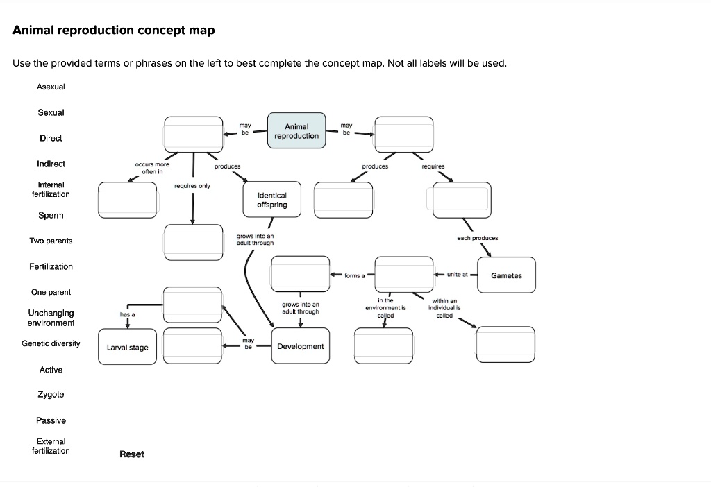 Solved Use The Provided Terms Or Phrases On The Left To Best Complete