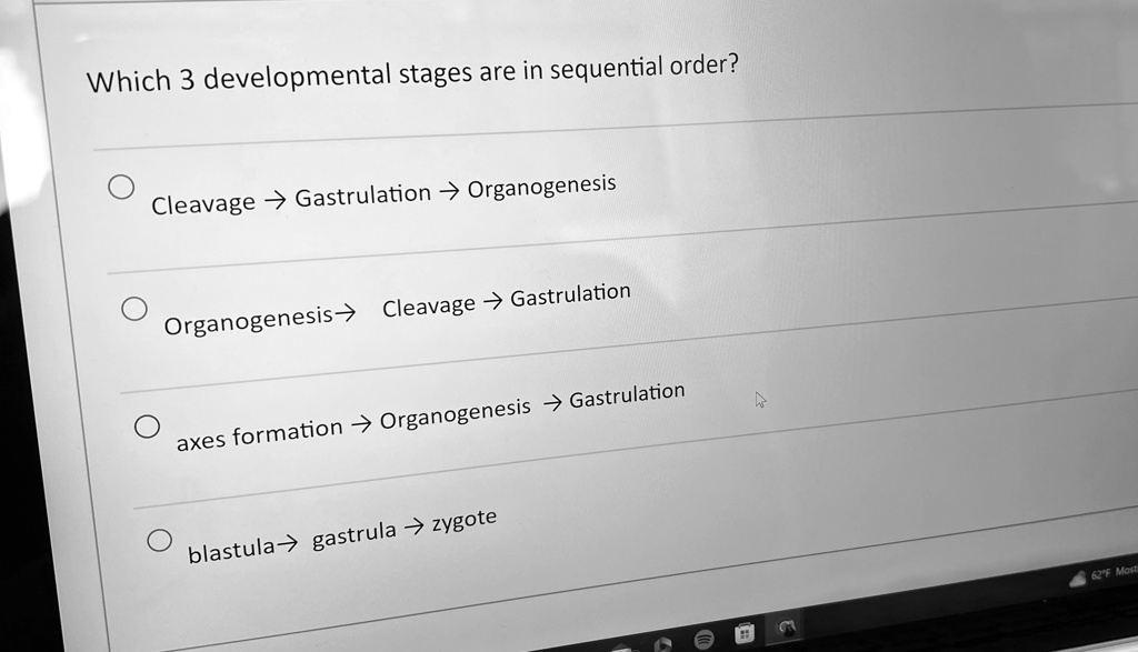 Which 3 developmental stages are in sequential order? Cleavage → ...