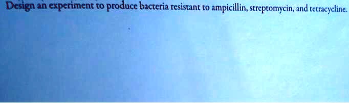 Design an experiment to produce bacteria resistant to ampicillin ...