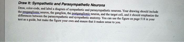 Draw It: Sympathetic and Parasympathetic Neurons Draw, color-code, and ...