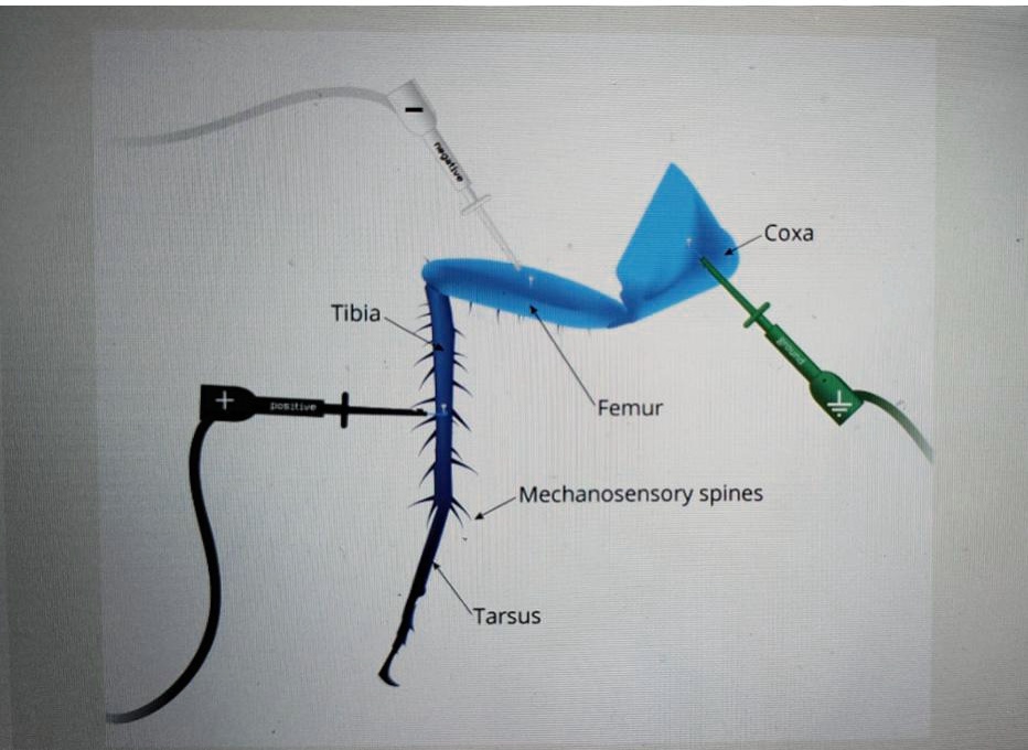 using the setup illustrated in the diagram below you can use the press ...