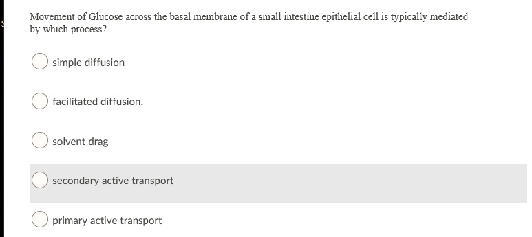 Movement of Glucose across the basal membrane of a small intestine ...