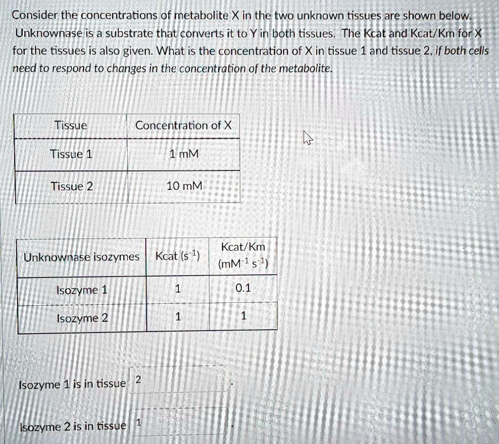 SOLVED: Consider the concentrations of metabolite X in the two unknown ...