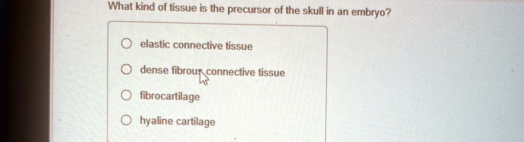 What kind of tissue is the precursor of the skull in an embryo? elastic ...