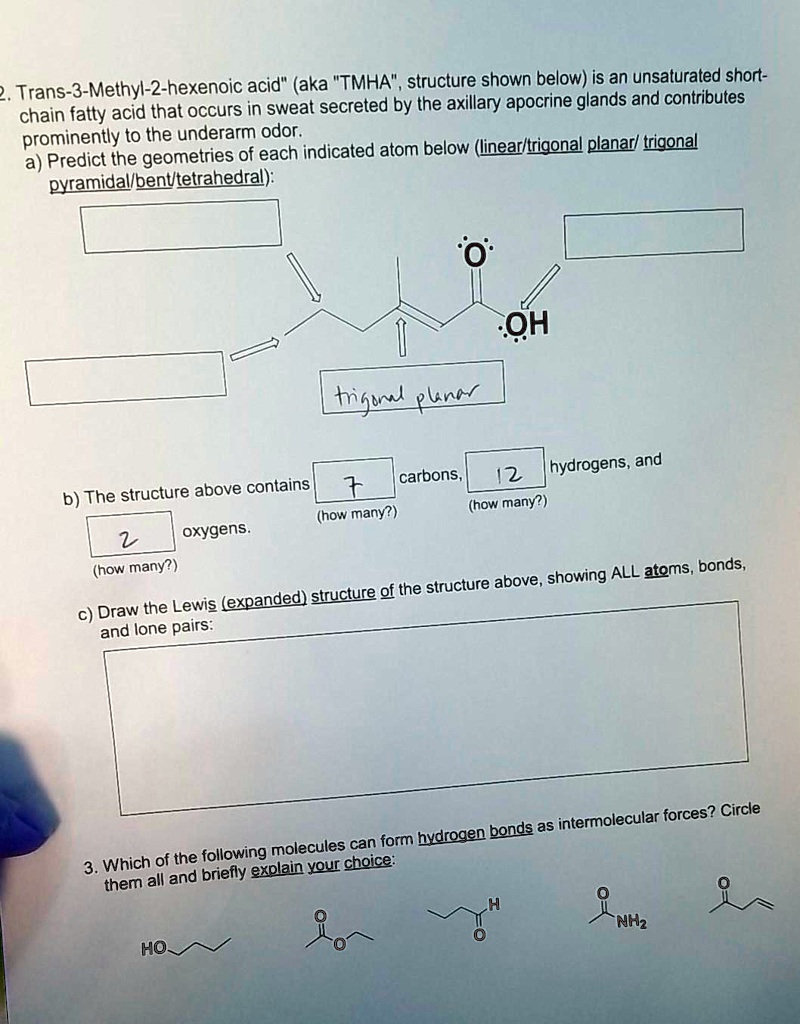 Trans-3-Methyl-2-hexenoic acid" (aka "TMHA", structure shown below) is ...