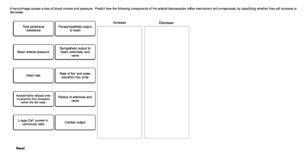 A hemorrhage causes a loss of blood volume and pressure. Predict how ...