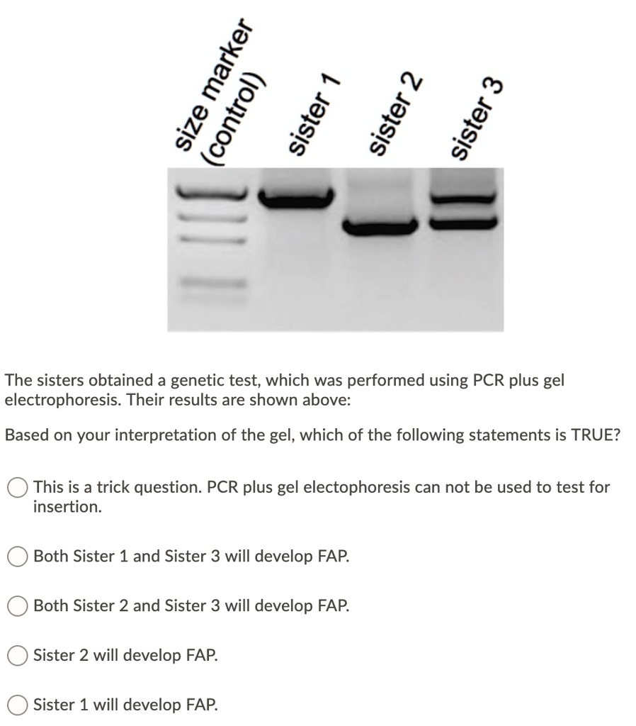 [GET ANSWER] marker l size control sister sister 2 sister 3 the sisters ...