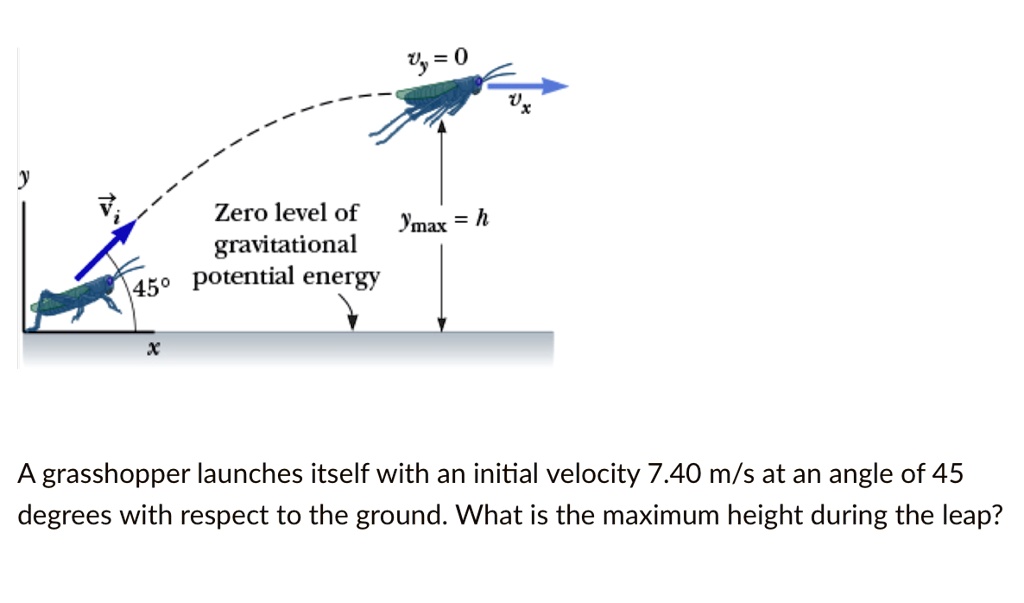 0 zero level of ymax gravitational 450 potential energy a grasshopper ...