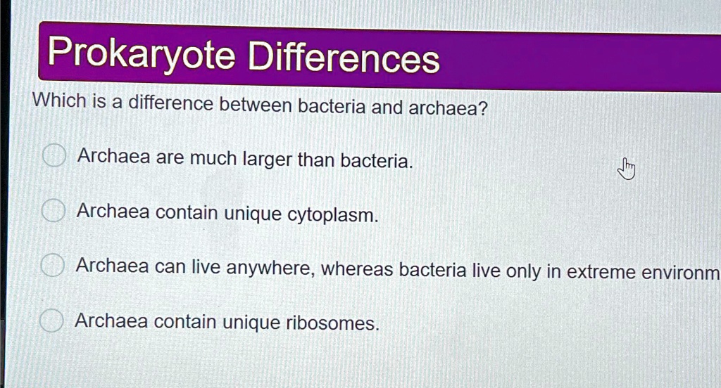 SOLVED: Prokaryote Differences Which is a difference between bacteria ...