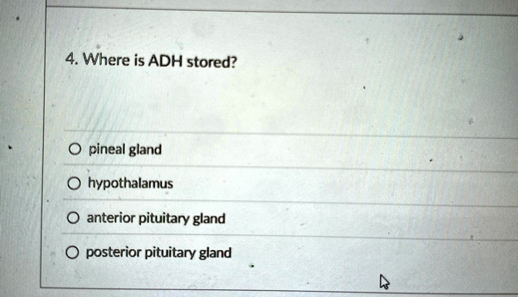 4 where is adh stored o pineal gland o hypothalamus o anterior ...
