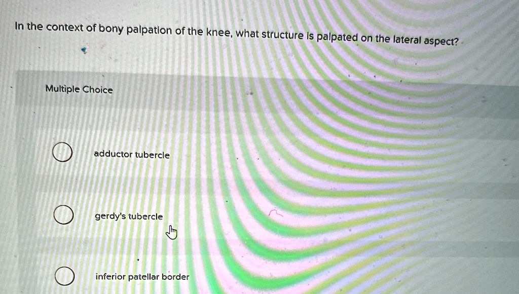 In the context of bony palpation of the knee, what structure is ...