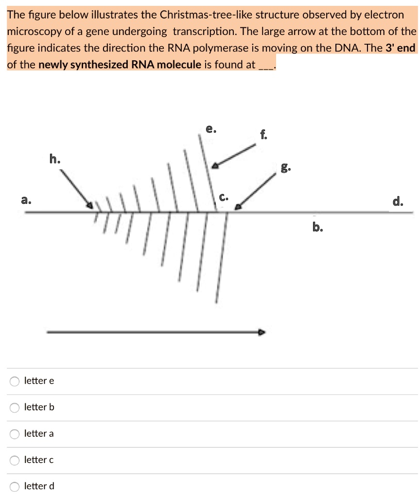 SOLVED: The figure below illustrates the Christmas-tree-like structure ...