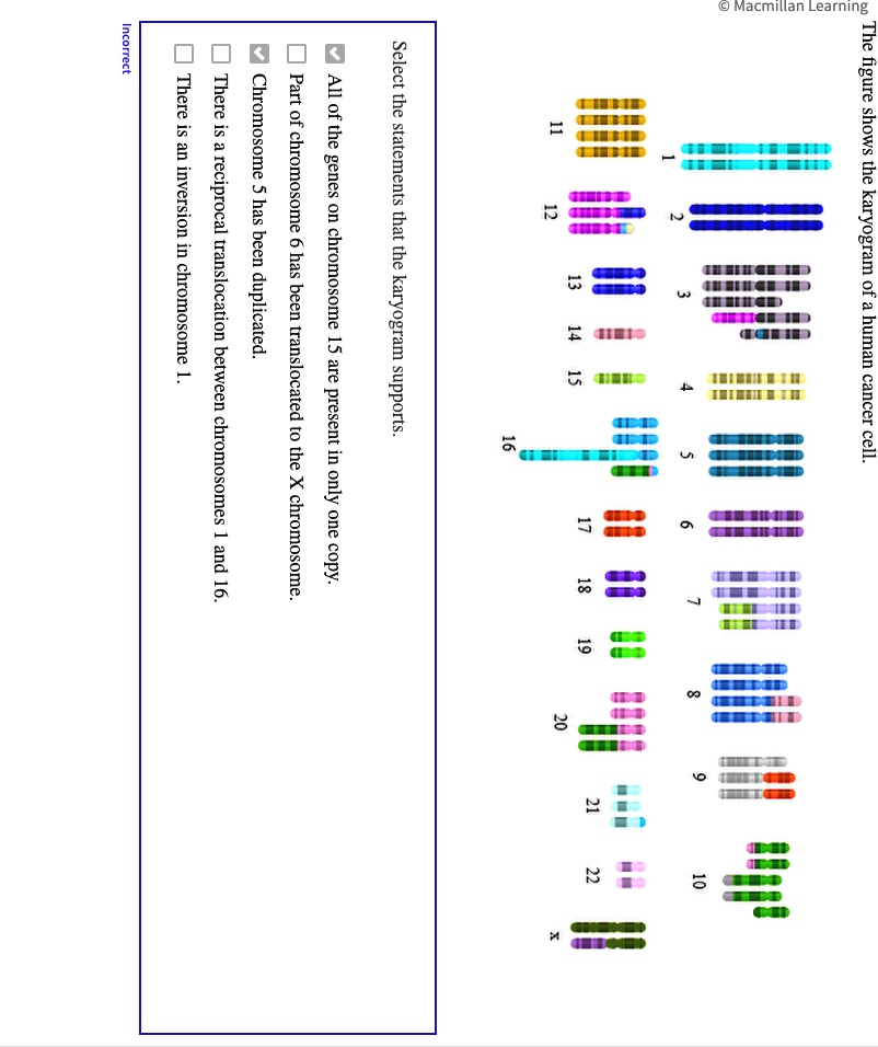 © Macmillan Learning The figure shows the karyogram of a human cancer ...