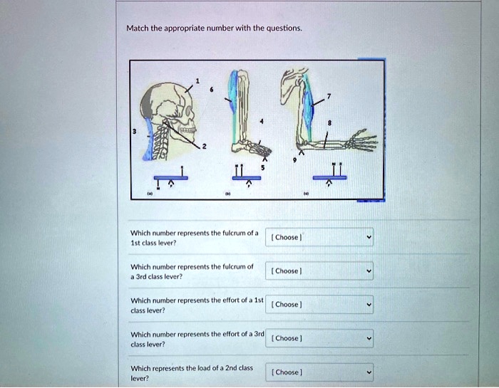 match the appropriate number with the questions which number represents ...