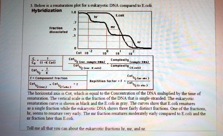 below is rcnaturation plot for eukaryotic dna compared to ecoli ...