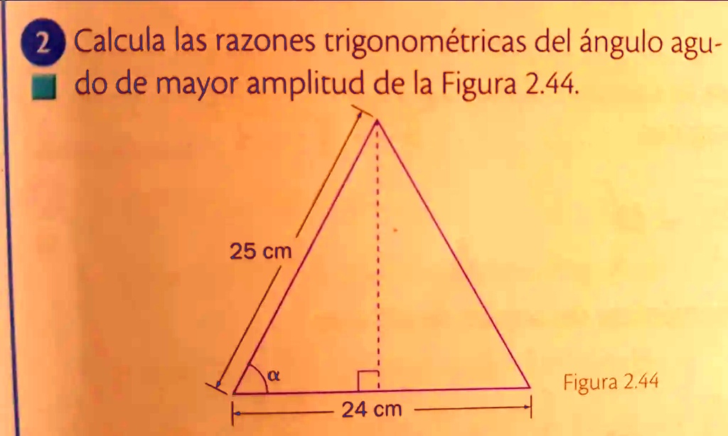 2 Calcula las razones trigonométricas del ángulo agu-do de mayor ...