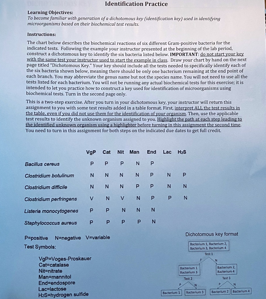 identification practice learning objectives to become familiar with ...