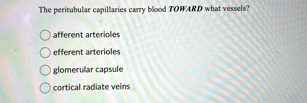 The peritubular capillaries carry blood TOWARD what vessels? afferent ...