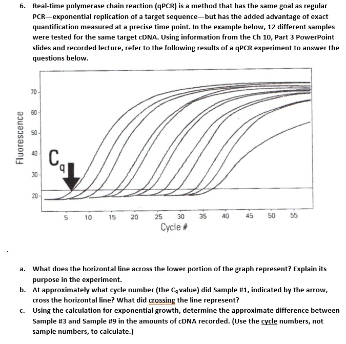 SOLVED:Real-time polymerase chain reaction (qPCR) is method that has ...