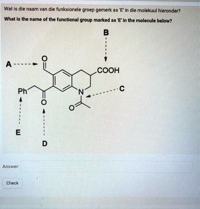 SOLVED: What is the name of the functional group marked as 'E' in the ...