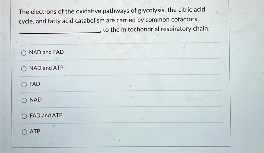 the electrons of the oxidative pathways of glycolysis the citric acid ...