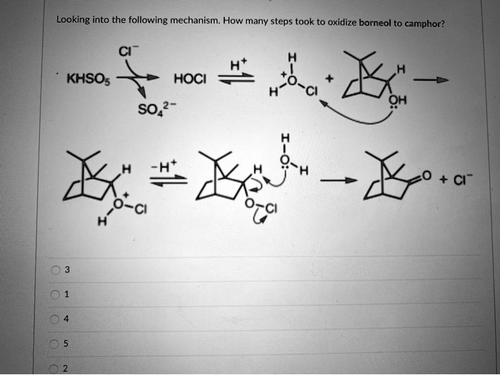 SOLVED: Looking into the following mechanism: How many steps does it take to oxidize borneol to ...