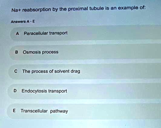 SOLVED: Na+ reabsorption by the proximal tubule is an example of: A ...