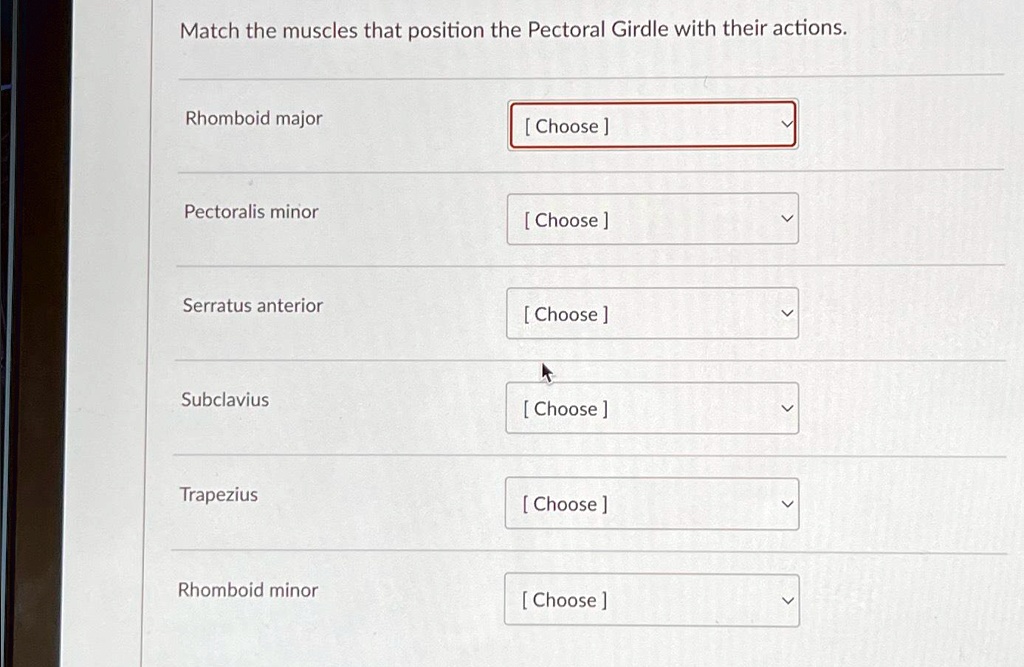 Match the muscles that position the Pectoral Girdle with their actions ...