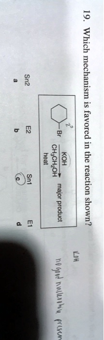 SOLVED: 19 Which 3 mechanism favored in heat 1 HOX 2 Sni reaction major ...