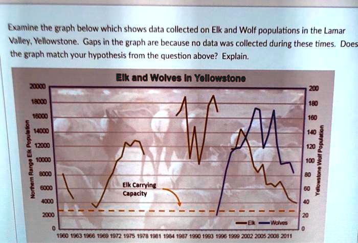 Examine the graph below which shows data collected on Elk and Wolf ...