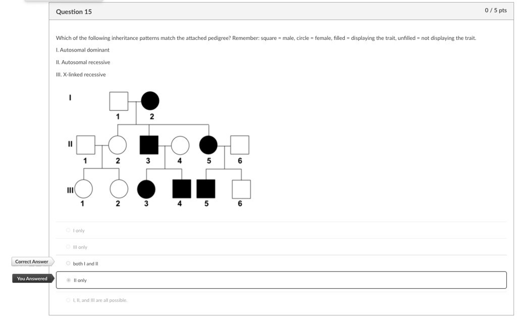 Please Explain In Detail Why The Correct Answer Is Correct And Why Each