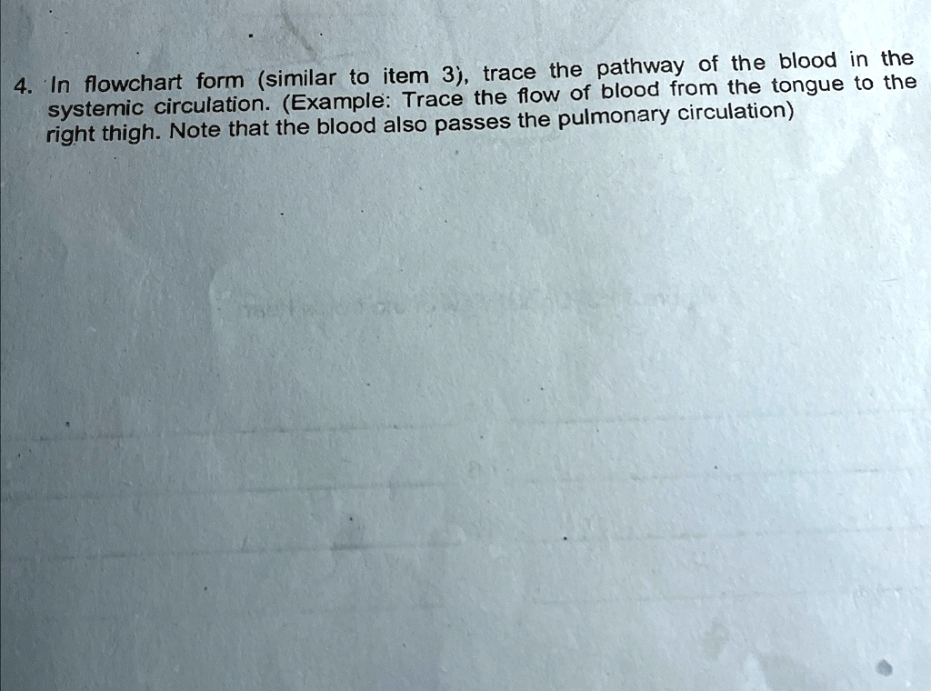 in flowchart form similar to item 3 trace the pathway of the blood in ...
