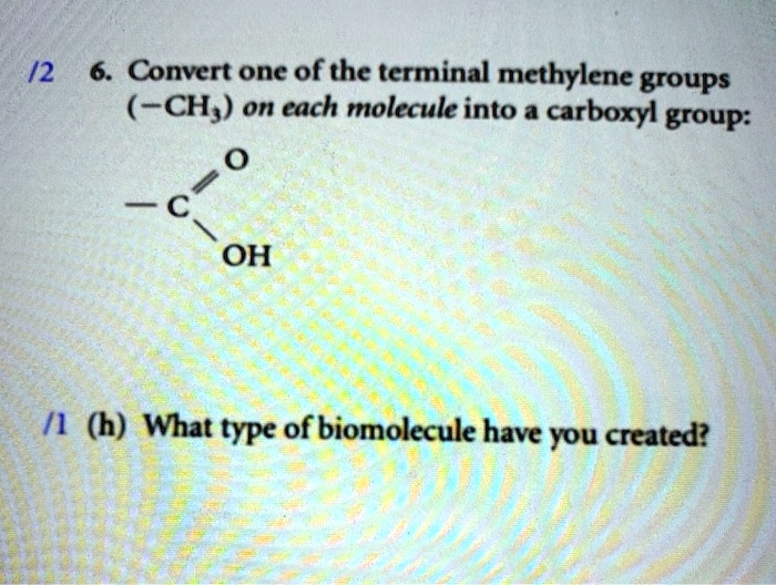 12. Convert one of the terminal methylene groups ( CH2) on each ...