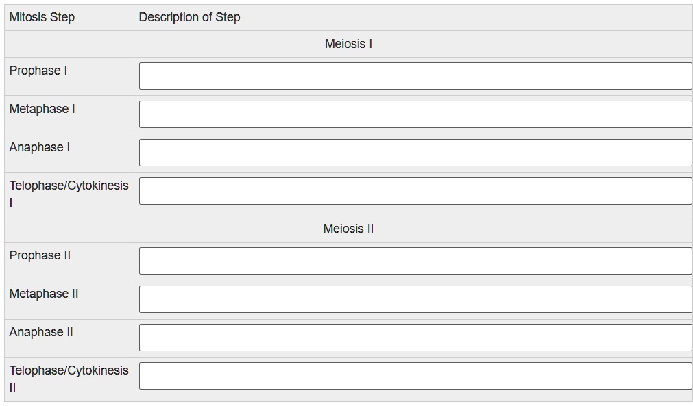 Mitosis Steps Description of Steps Meiosis Prophase Metaphase Anaphase ...